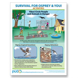 osprey-activities – Fran Lee Illustration and Design